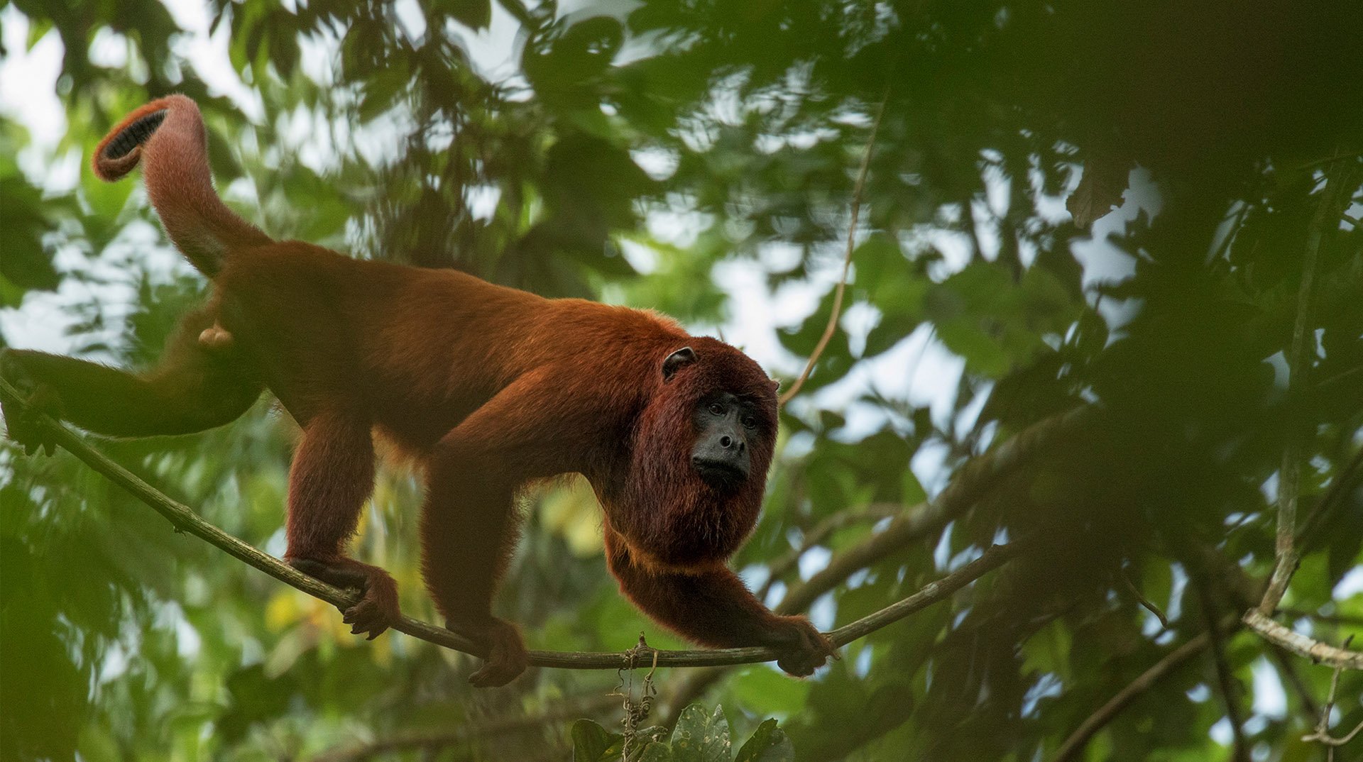 Andean Discovery Travel South America, Galapagos & Machu Picchu Pros